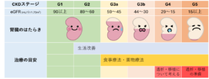 慢性腎臓病（CKD） - 慶應義塾大学医学部内科学教室 腎臓内分泌代謝内科 - 大学病院 腎臓内科 代謝内分泌内科 外来